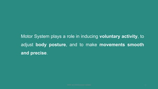 Motor System | PDF