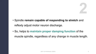 Motor System | PDF