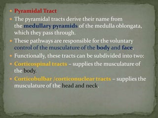 Motor tracts of brain and spinal cord | PPTX