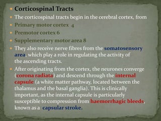 Motor tracts of brain and spinal cord | PPTX