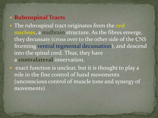 Motor tracts of brain and spinal cord | PPTX