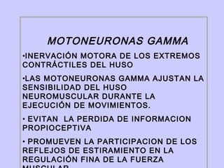 Motor y reflejos | PPT