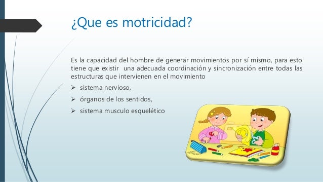 Motricidad