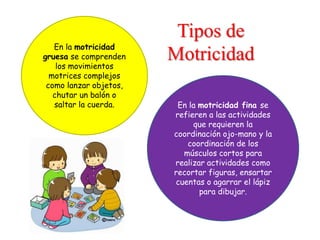 Motricidad Fina y Gruesa en menores de 3 a 6 años | PPTX