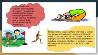 Motricidad fina y gruesa. | PPTX