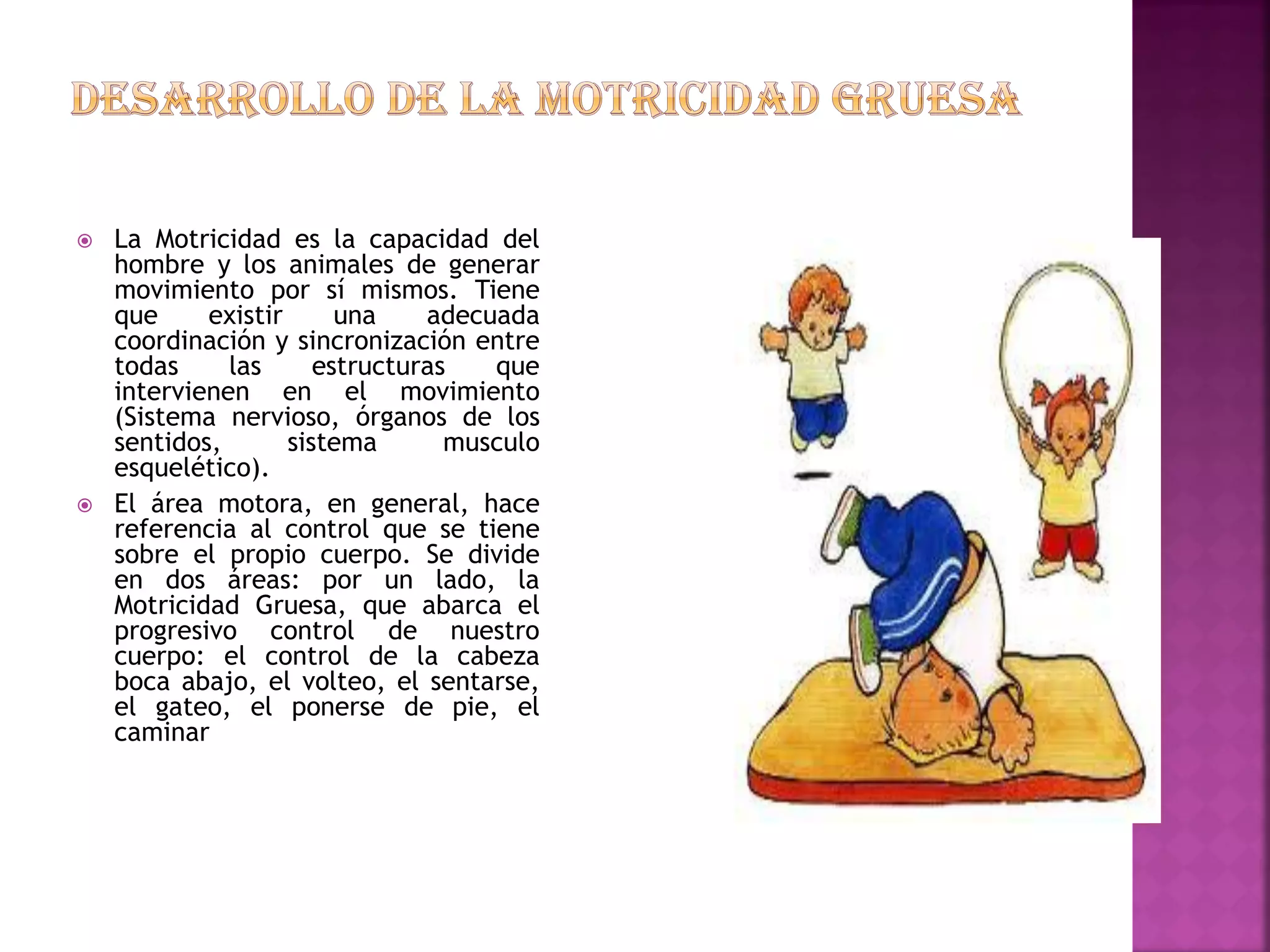 Motricidad gruesa y fina | PPT
