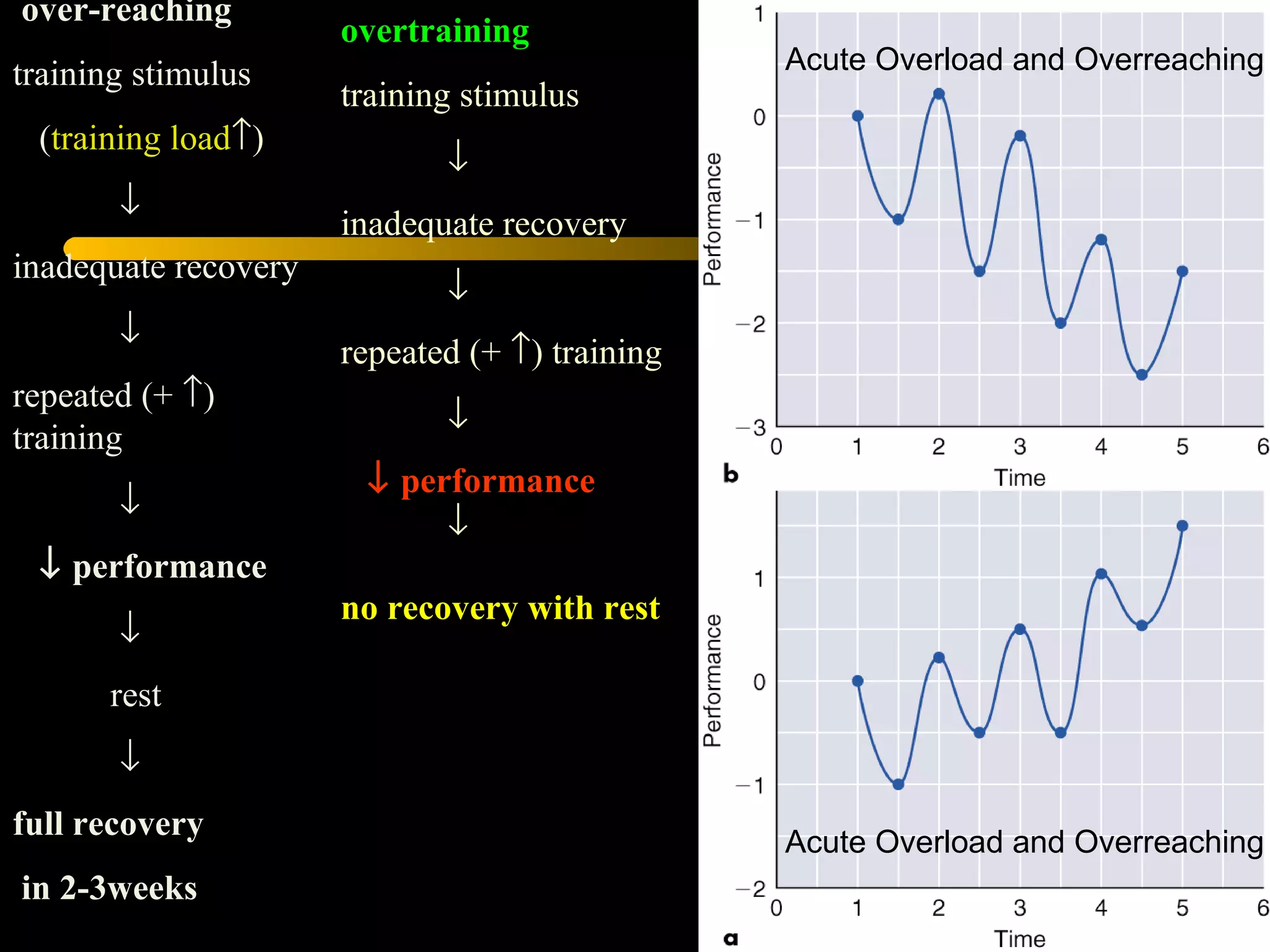 Ill Effects of Over Training | PPT