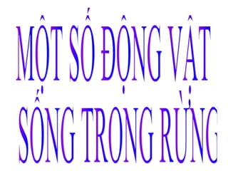 Mot so dong vat song trong rung | PPT
