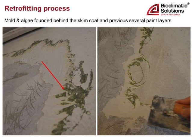 Mold & algae problem solved | PPT
