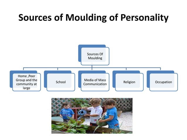 Moulding the personality patterns | PPTX | Genetics | Science