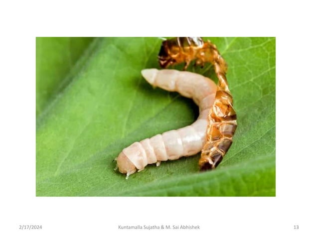 Moulting - The process and types | PPTX | Indoor Environmental Quality ...