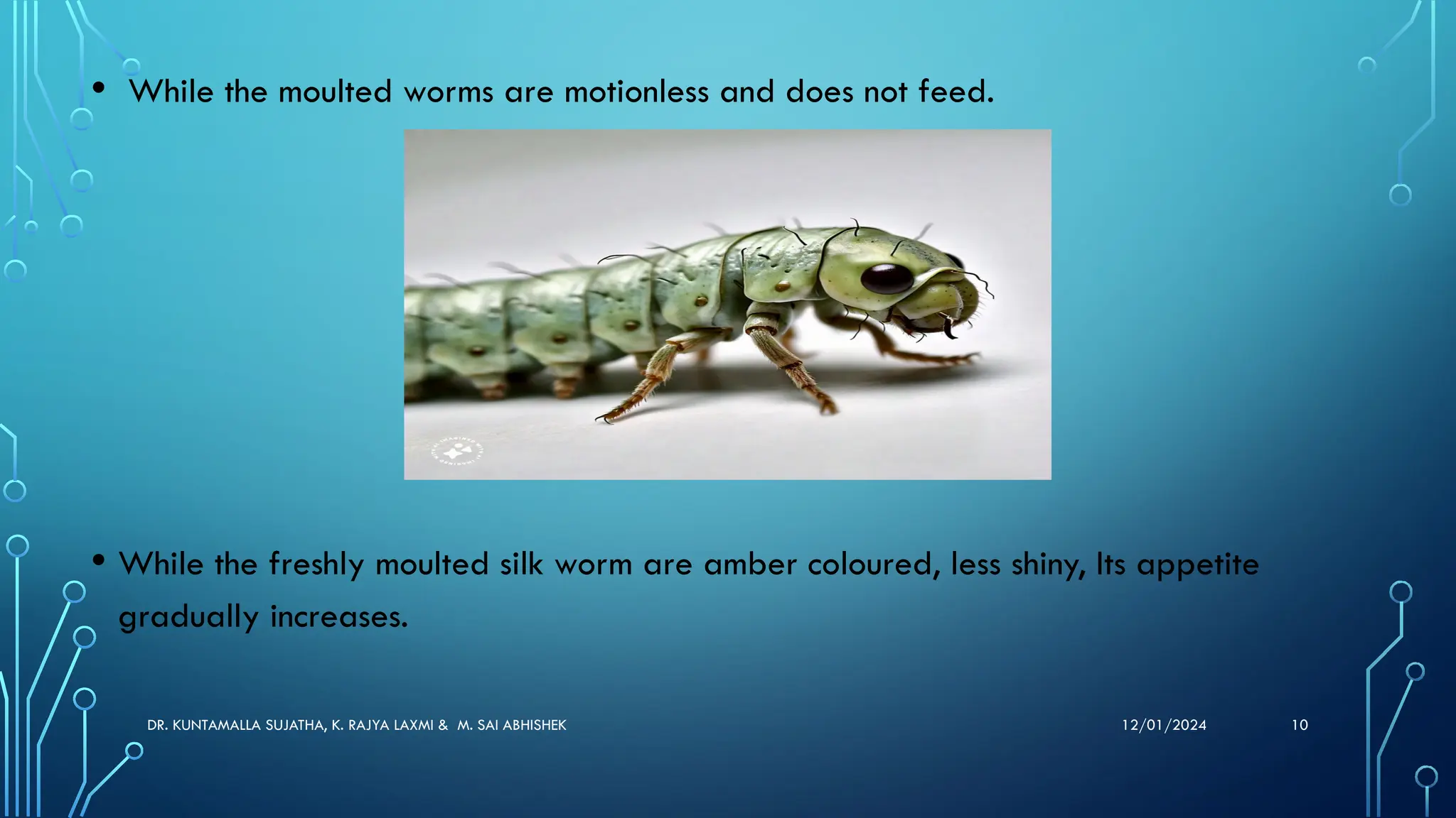 Moulting - Silkworm rearing technology.pptx