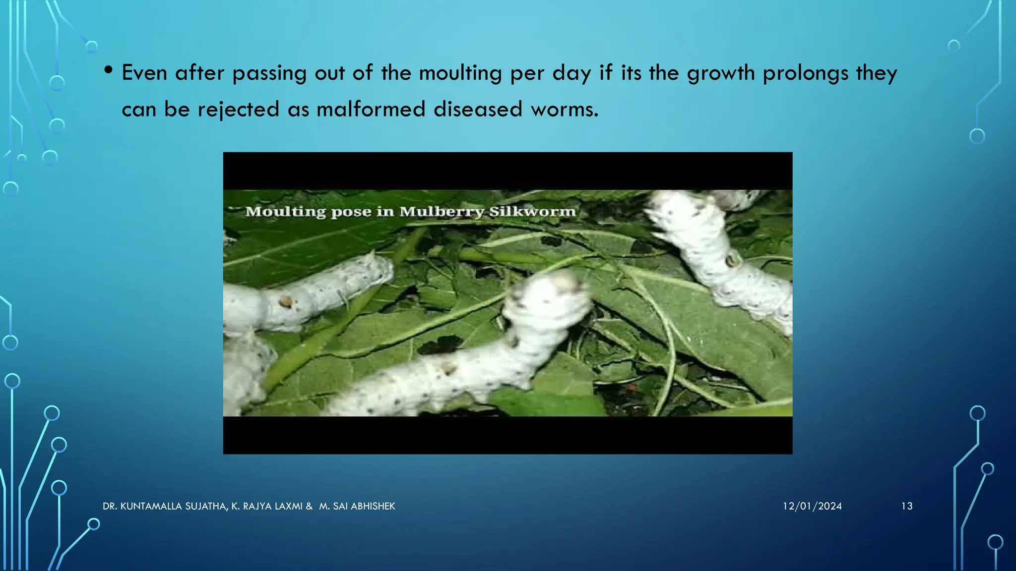 Moulting - Silkworm rearing technology.pptx