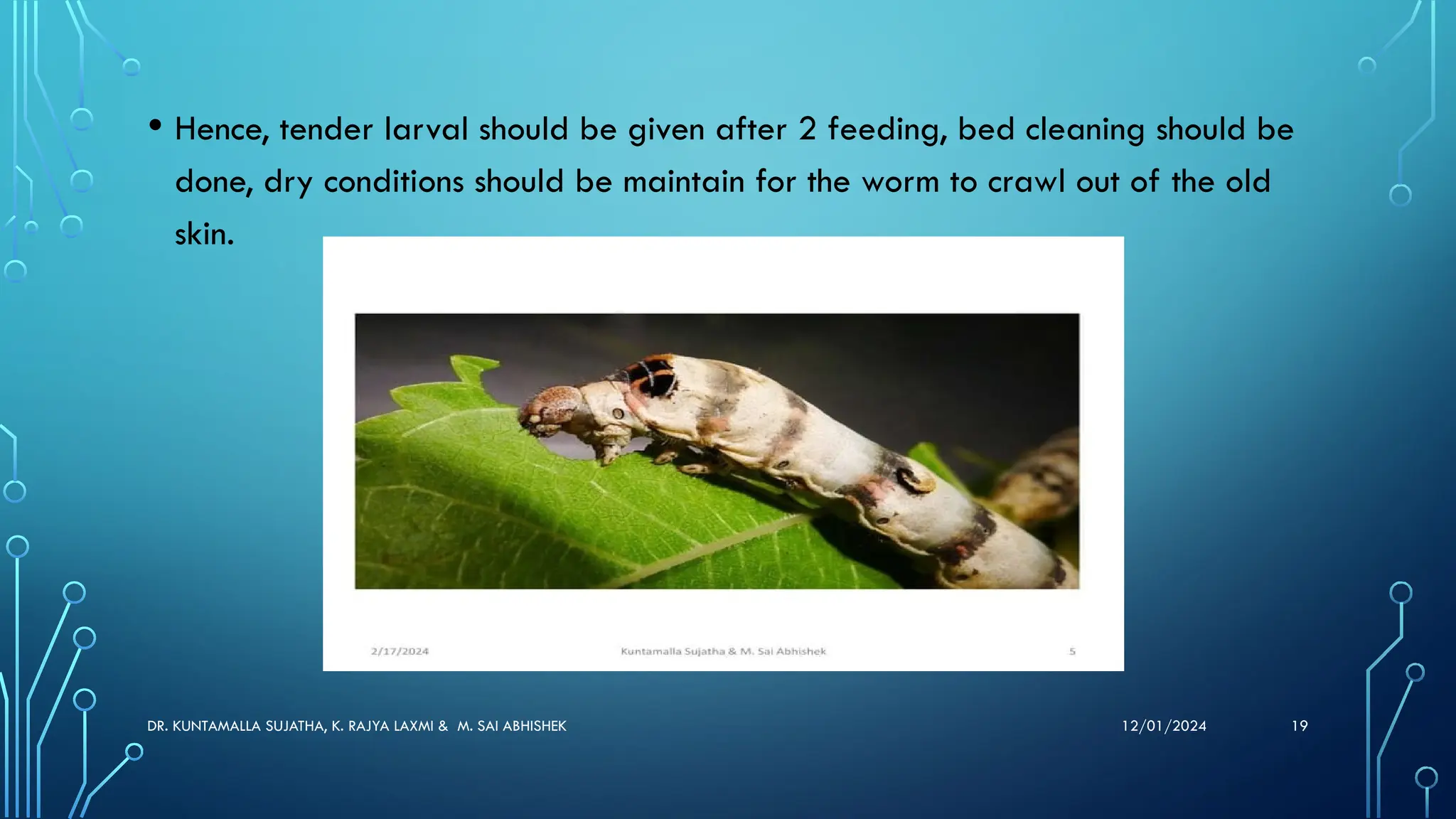 Moulting - Silkworm rearing technology.pptx