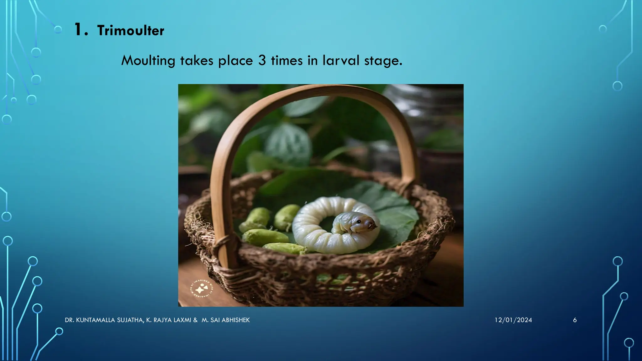 Moulting - Silkworm rearing technology.pptx