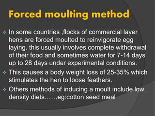 Moulting in birds | PPTX