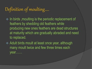 Moulting in birds | PPTX
