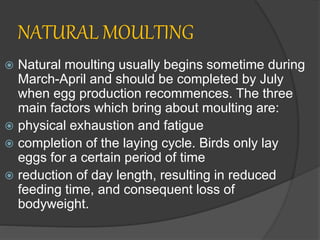 Moulting in birds | PPTX