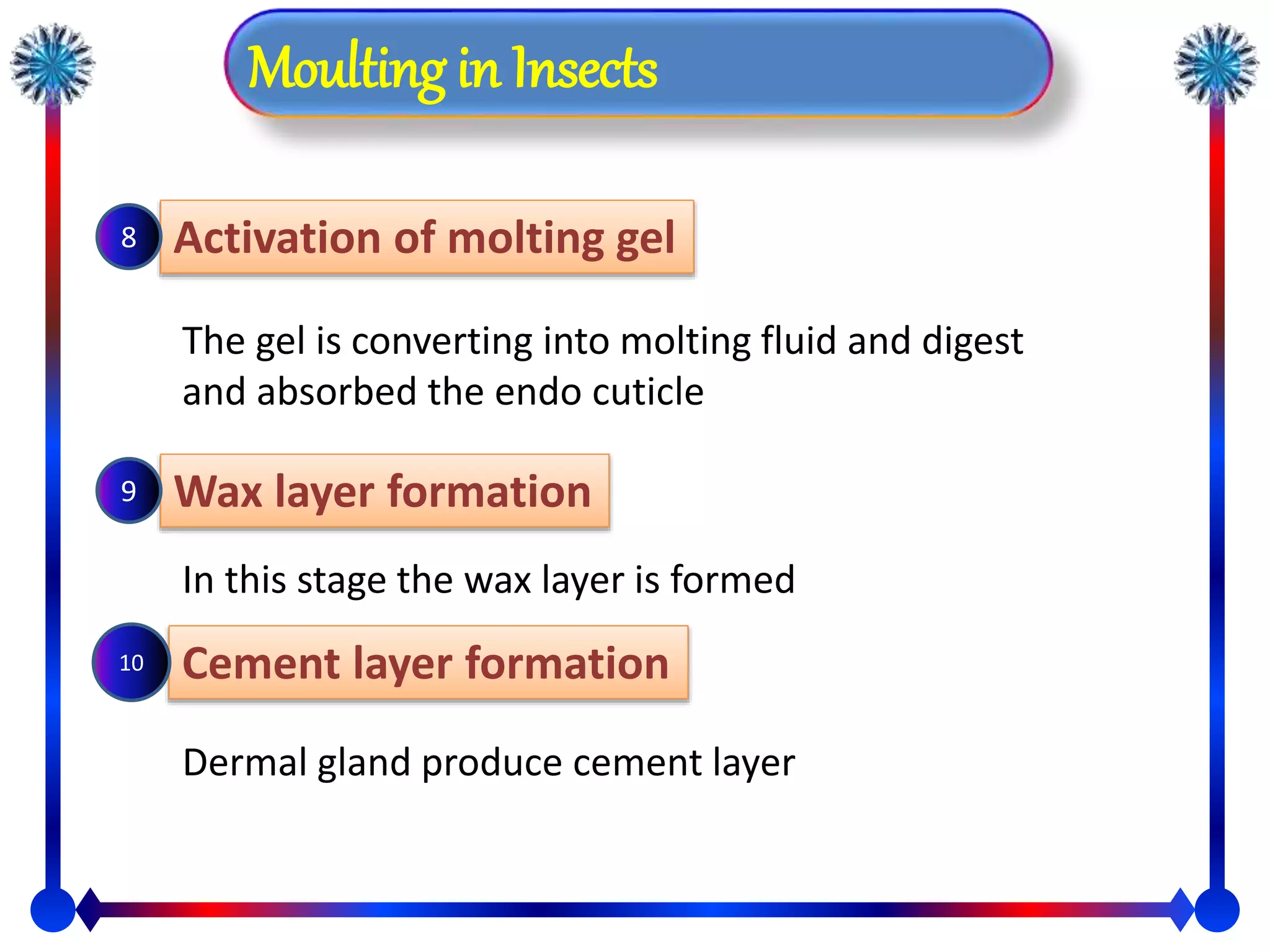 Moulting in Insect by sami | PPSX