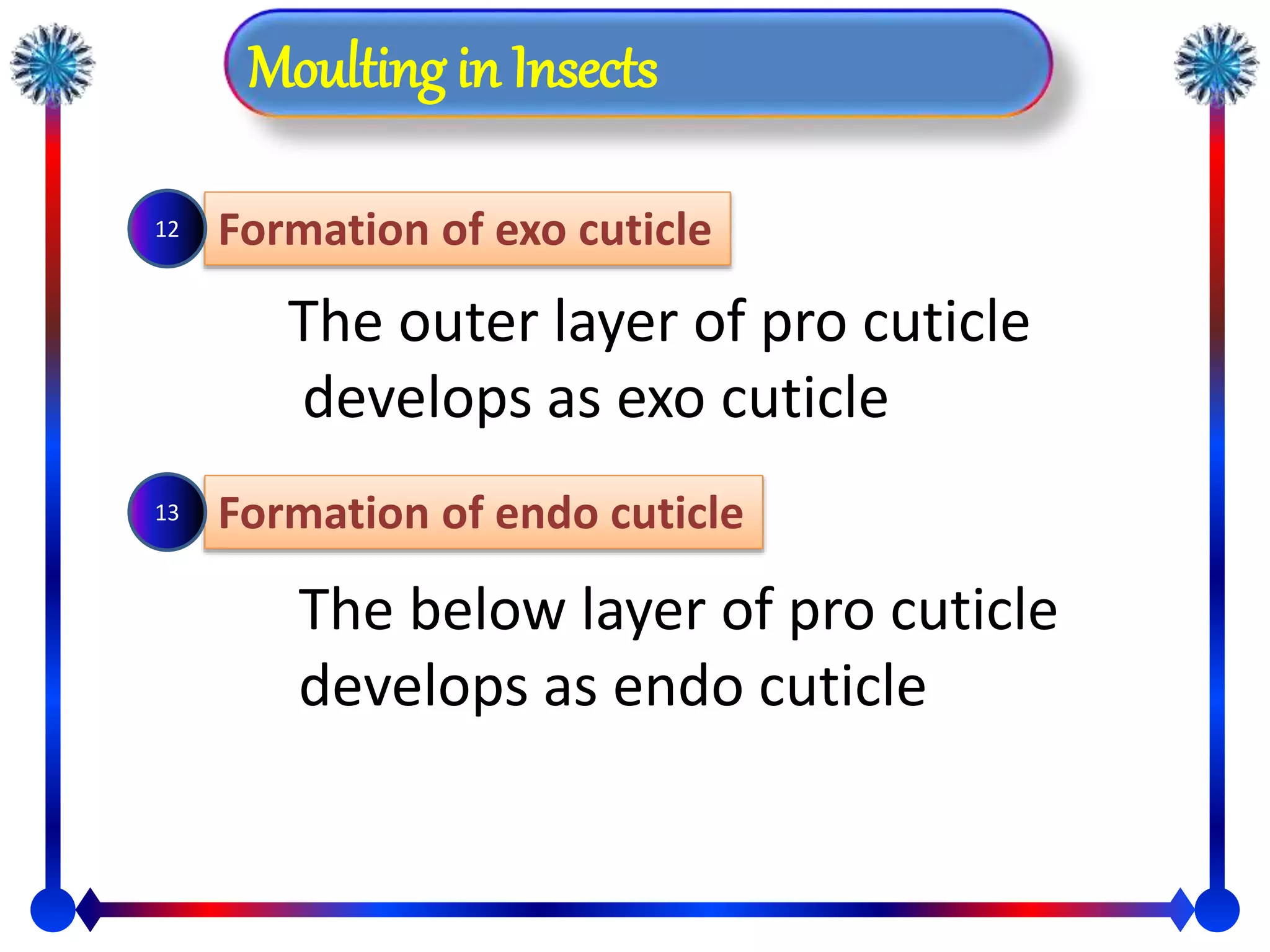 Moulting in Insect by sami | PPSX