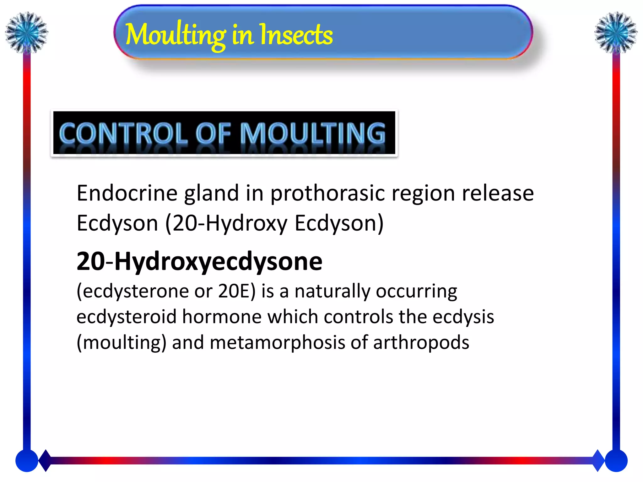 Moulting in Insect by sami | PPSX