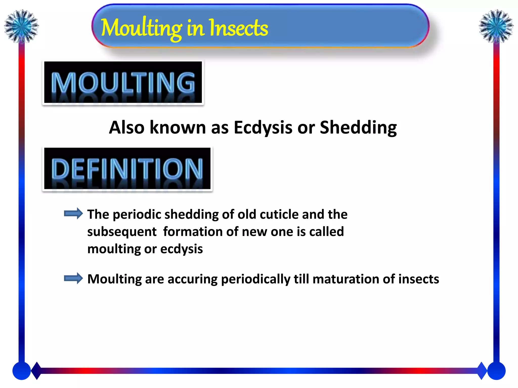 Moulting in Insect by sami | PPSX