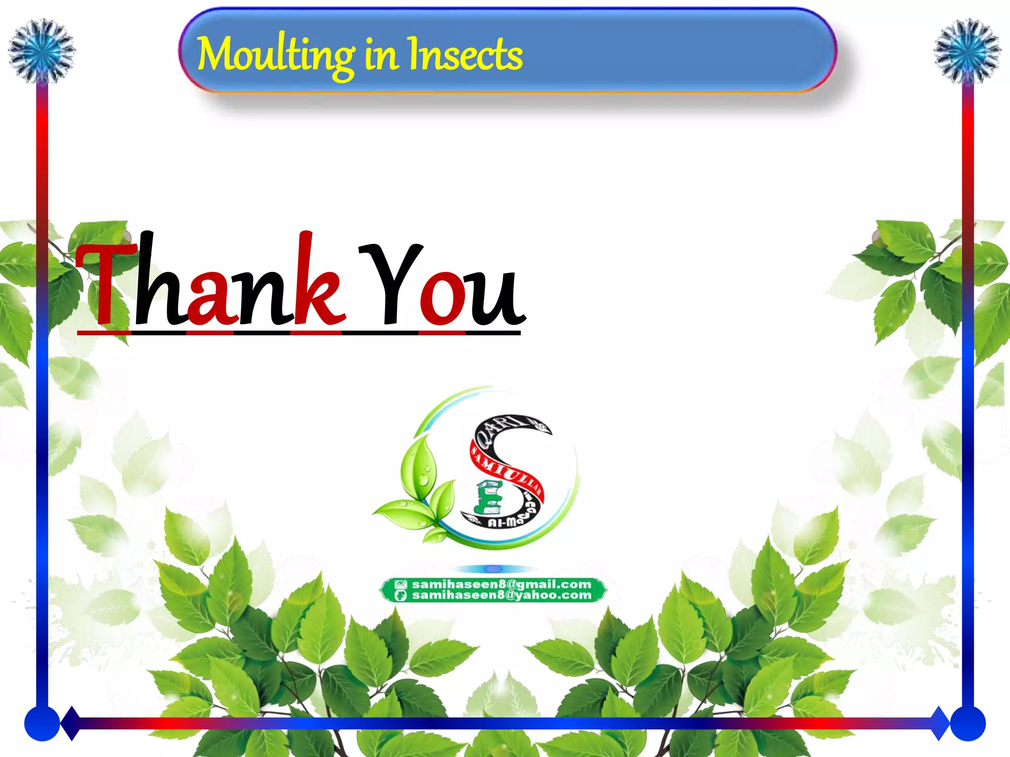 Moulting in Insect by sami | PPSX