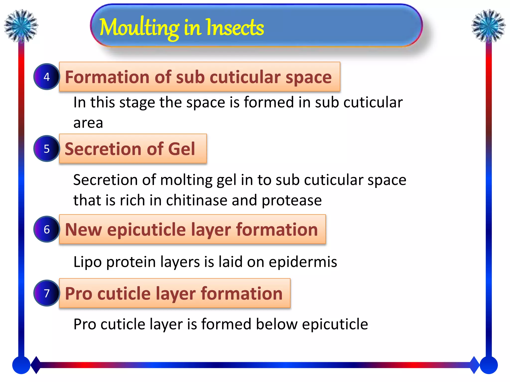Moulting in Insect by sami | PPSX