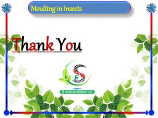 Moulting in Insect by sami | PPSX