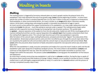 Moulting in Insect by sami | PPSX