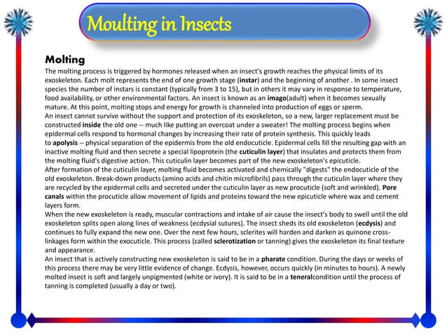 Moulting in Insect by sami | PPSX | Skin and Dermatology | Diseases and ...