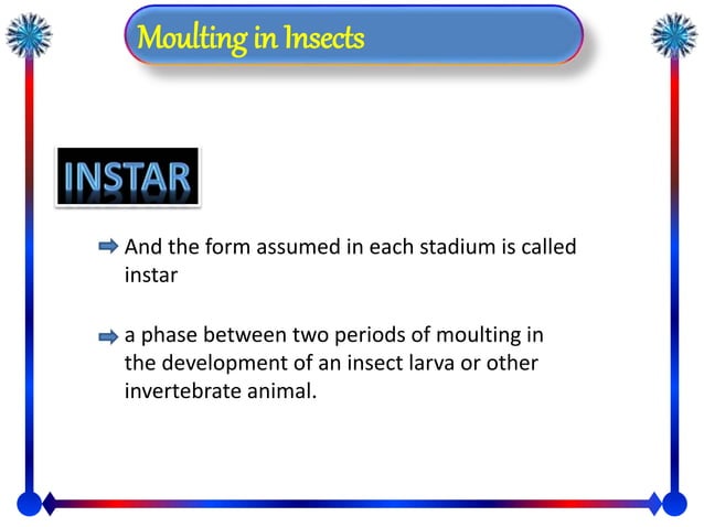 Moulting in Insect by sami | PPSX | Skin and Dermatology | Diseases and ...