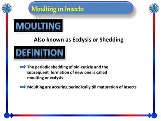 Moulting in Insect by sami | PPT