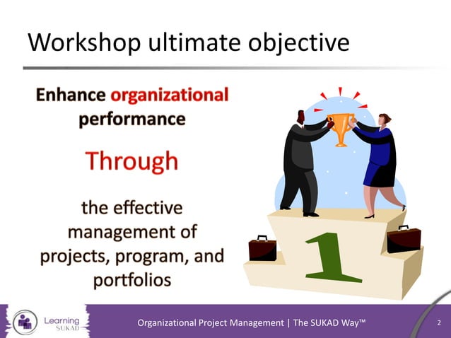 Organizational Project Management; short workshop | PDF