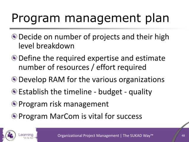 Organizational Project Management; short workshop | PDF