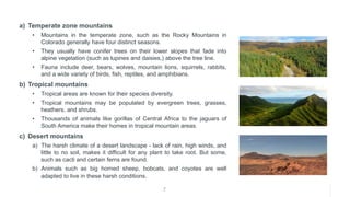 Mountain Ecosystem Pictures