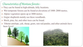 Mountain Forests | PPTX