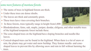 Mountain Forests | PPTX