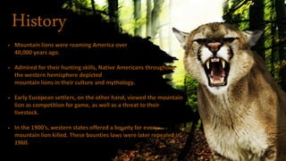 Mountain Lion PowerPoint Presentation | PPTX