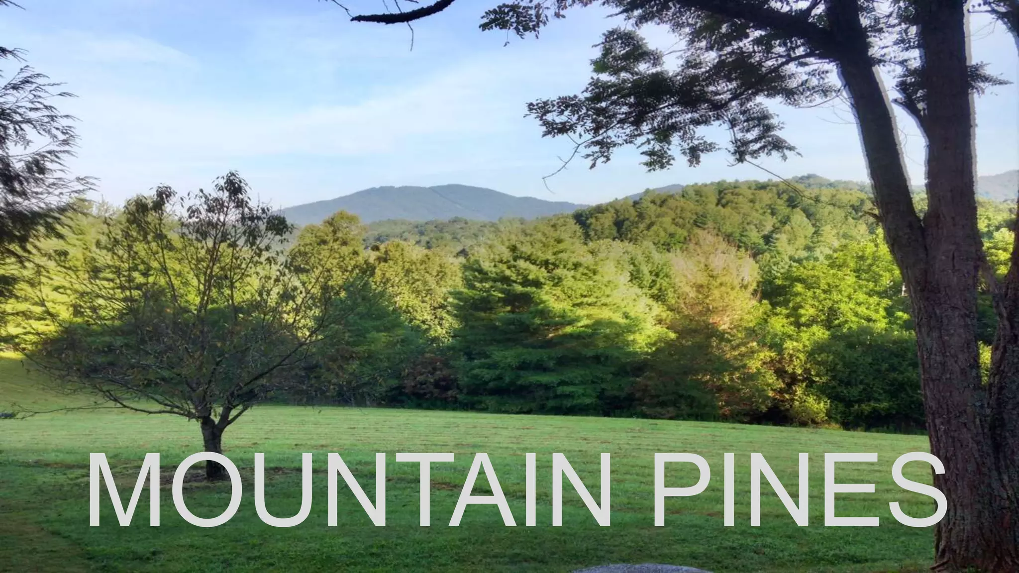 Mountain and Coastal Pines | PPT