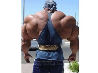 Mountains Of Muscles ~ Extreme Bodybuilding | PPSX