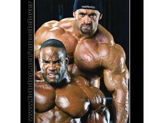 Mountains Of Muscles ~ Extreme Bodybuilding | PPSX