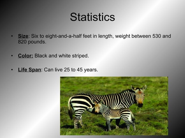 Mountain zebra powerpoint | PPT
