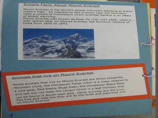 Mount Everest | PPT