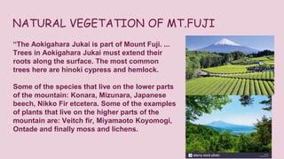 Mount fuji | PPTX