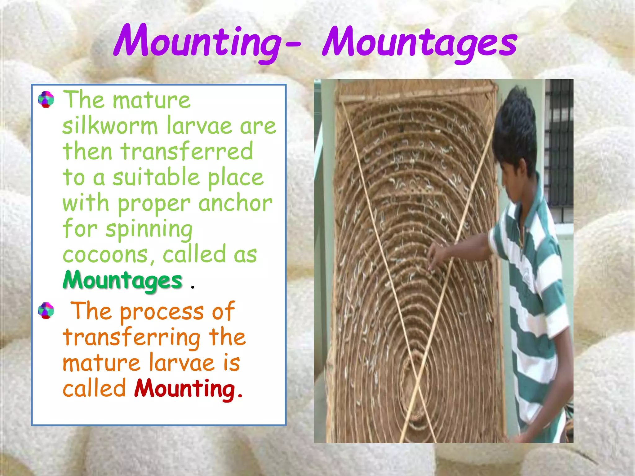 Mounting | PPTX