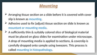 Mounting.pptx guhdubruceu dtiwubdr dyheuhhd | PPTX | Chemistry | Science