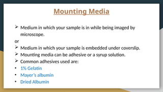 Mounting.pptx guhdubruceu dtiwubdr dyheuhhd | PPTX