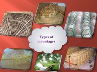 Mounting - Definition, methods, types, etc,.pptx