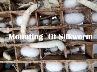 Mounting - Definition, methods, types, etc,.pptx